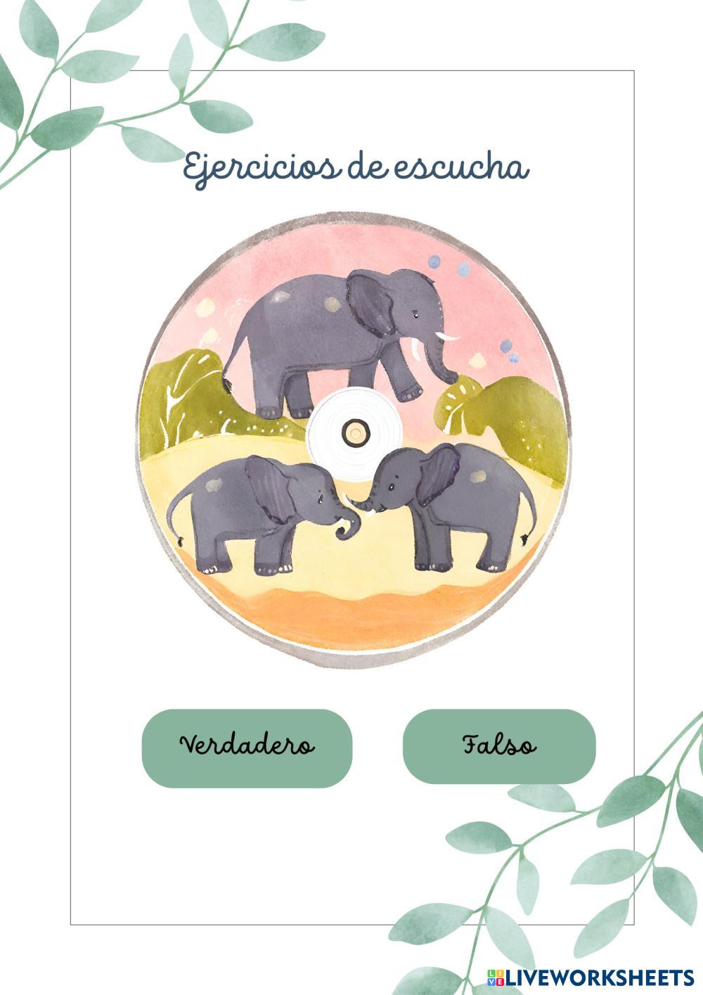 Verdadero o falso | Live Worksheets