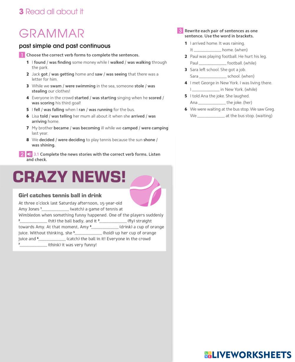 Past Simple and Past Continuous | Live Worksheets