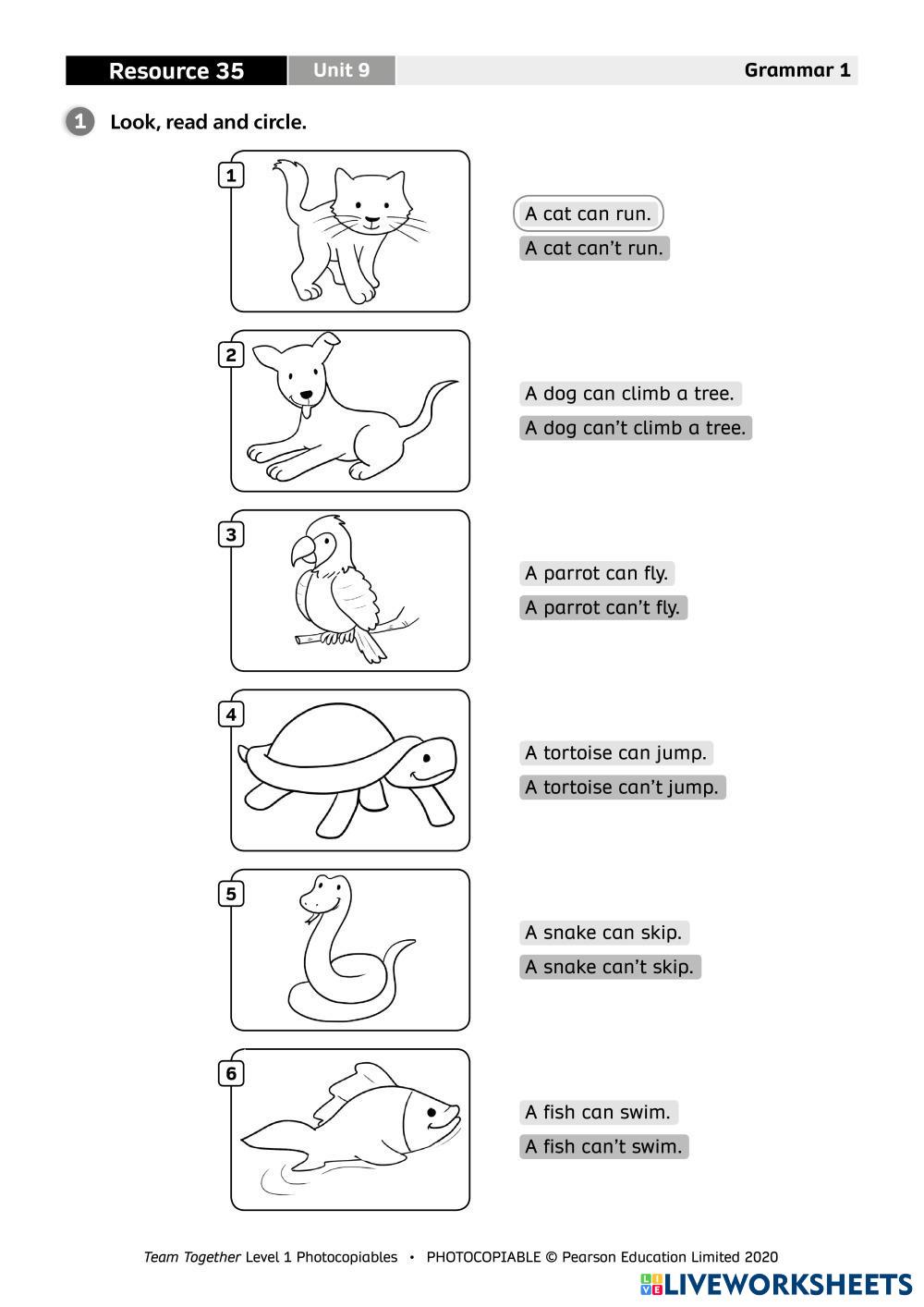 TEAM TOGETHER 1… | Free Interactive Worksheets | 7660287