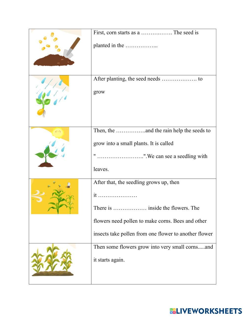 Homework | Free Interactive Worksheets | 7663470