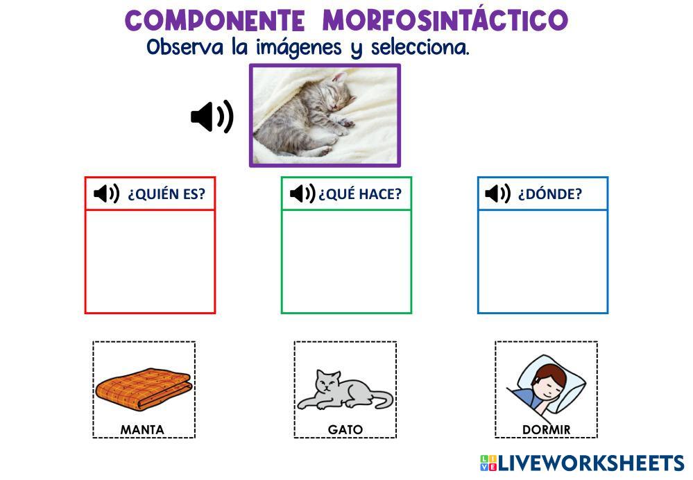 ACTIVIDAD MORFOSINTÁCTICO | Live Worksheets