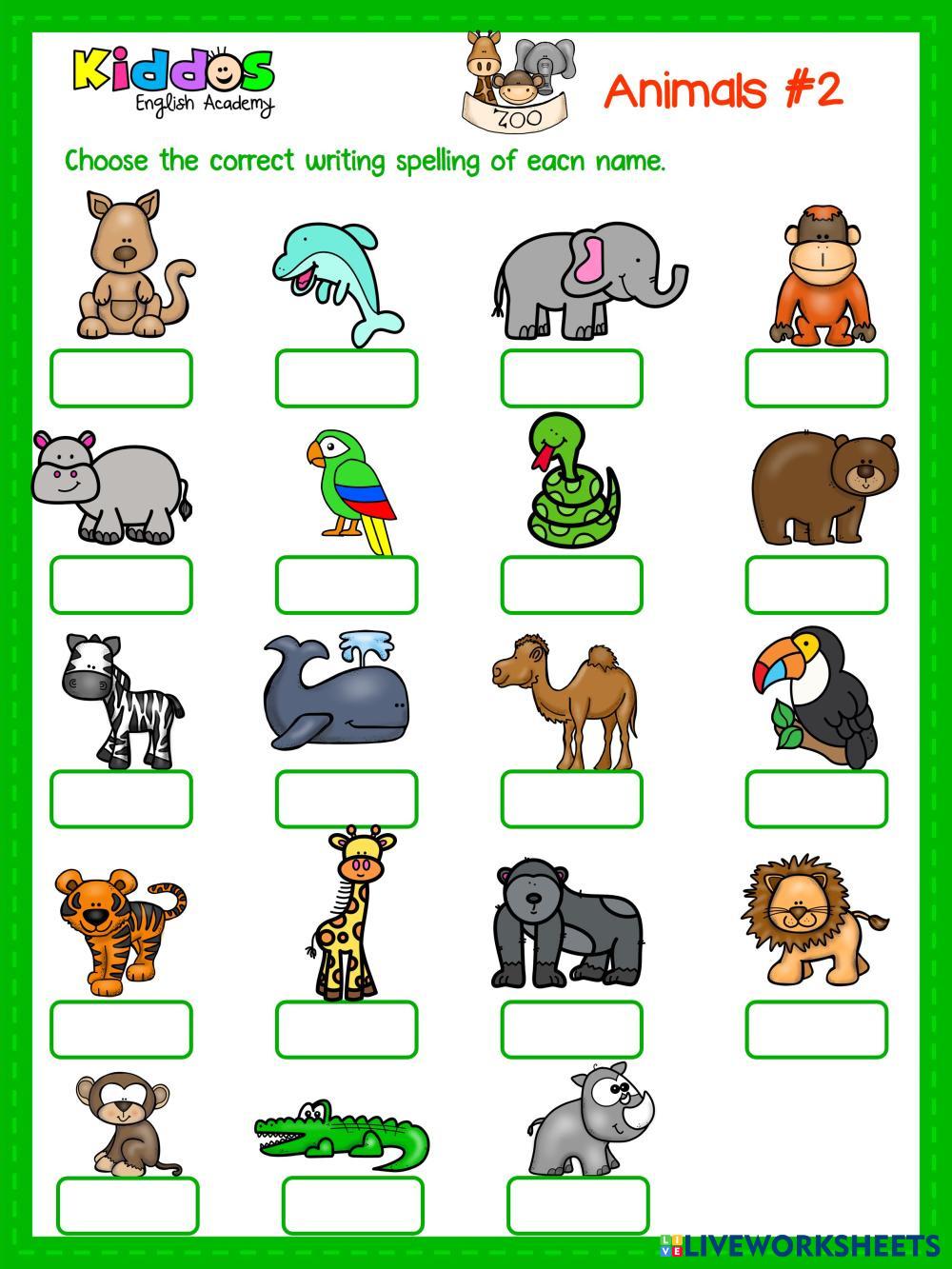 Zoo Animals #2 | Free Interactive Worksheets | 7670355