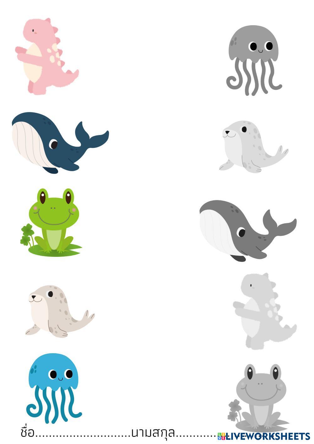 drop | Live Worksheets