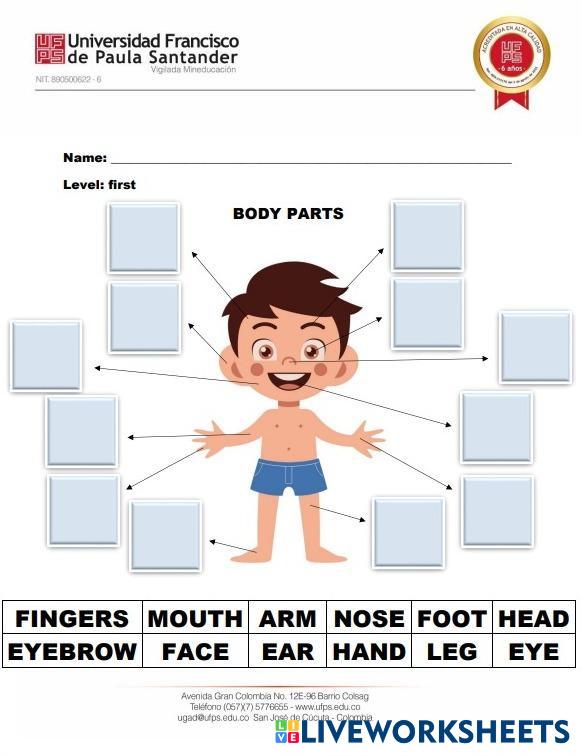 BODY PARTS | Live Worksheets