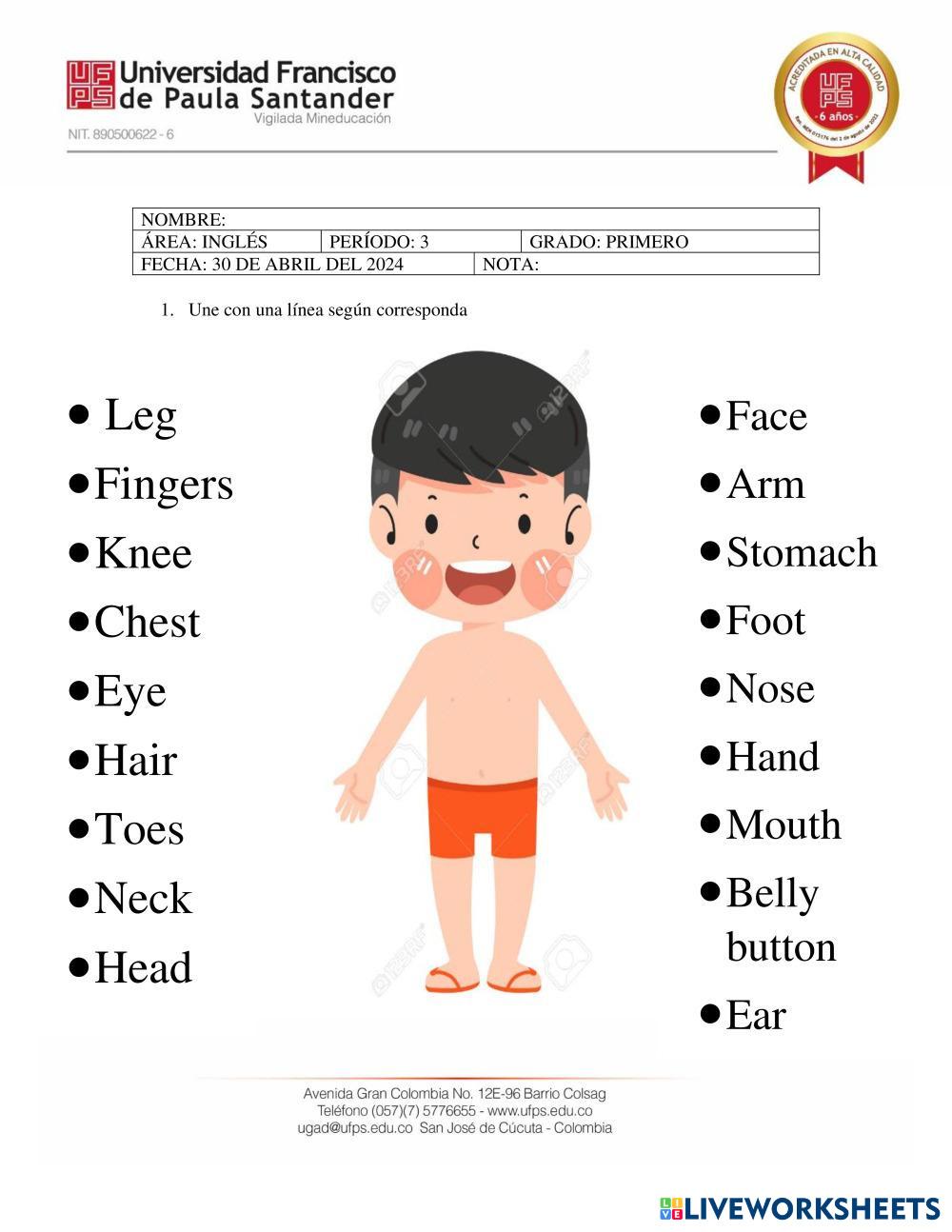 Body Parts | Live Worksheets