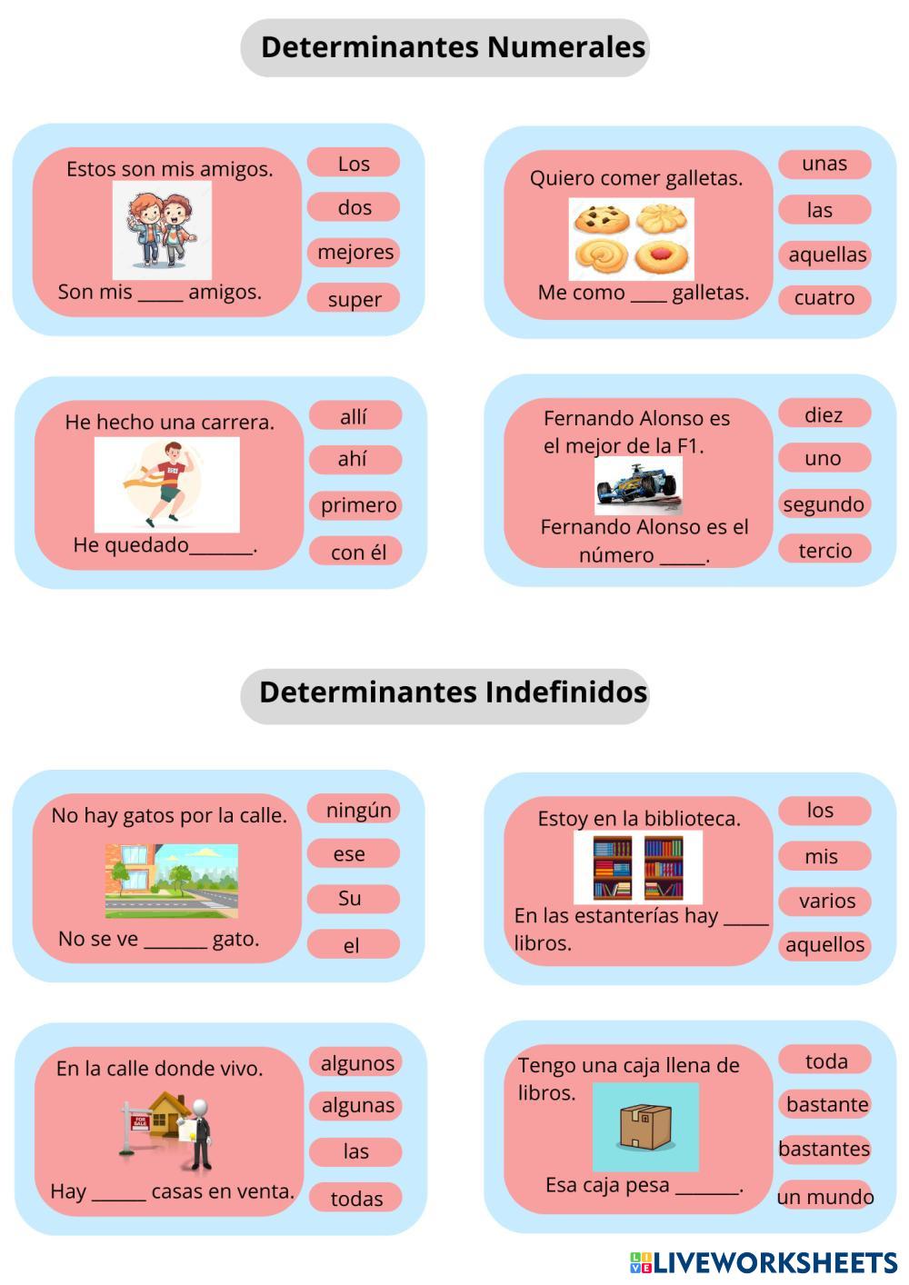 Determinantes numerales e indefinidos | Live Worksheets