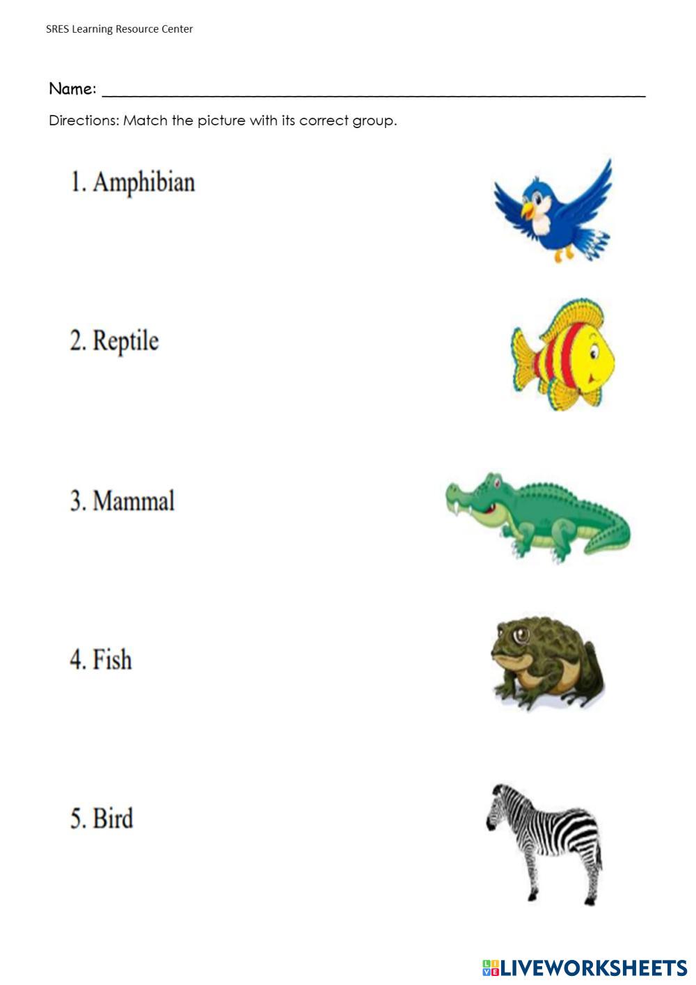 Kinds of Animals | Live Worksheets