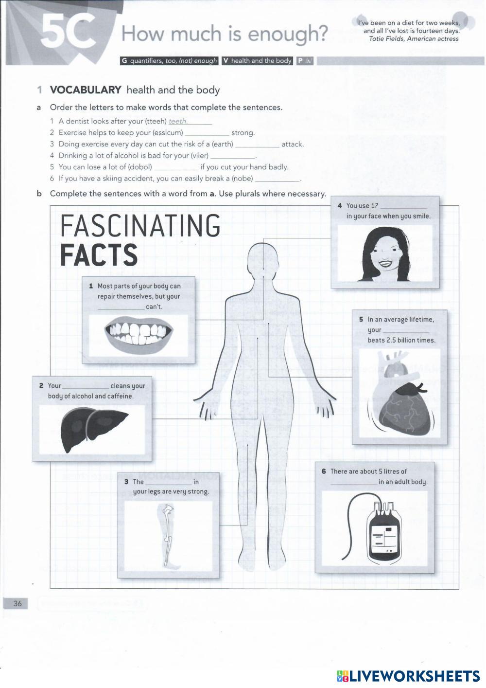 Pre-Intermediate - Workbook 5C | Live Worksheets