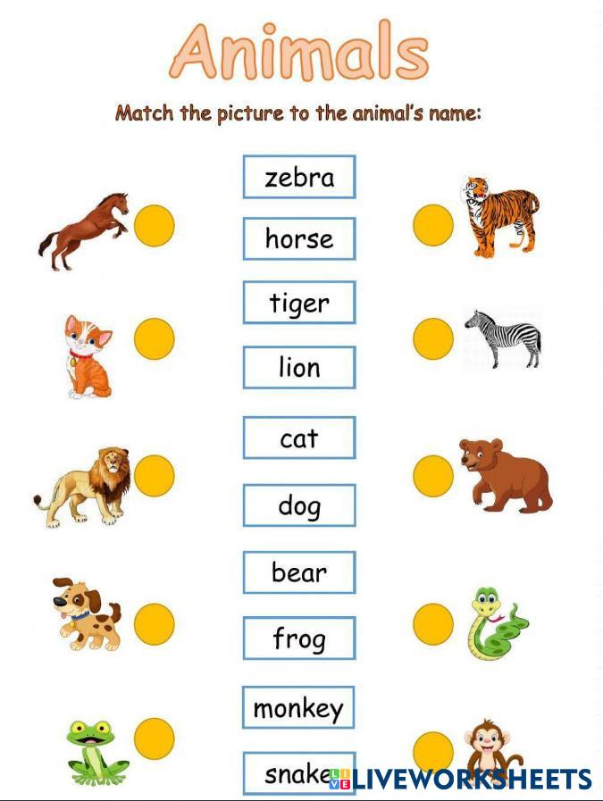 Animals | Live Worksheets