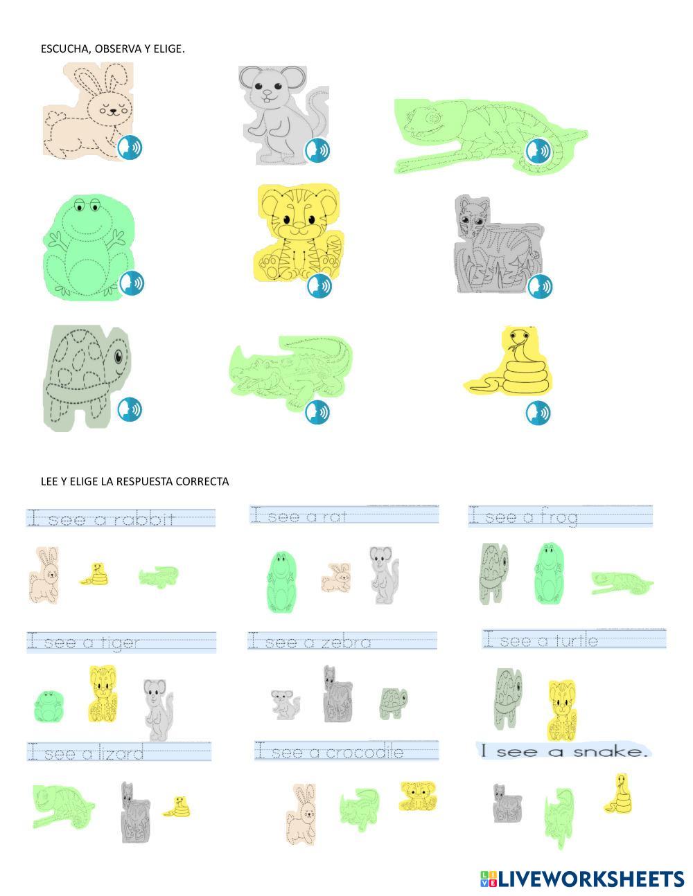 ANIMALS | Live Worksheets