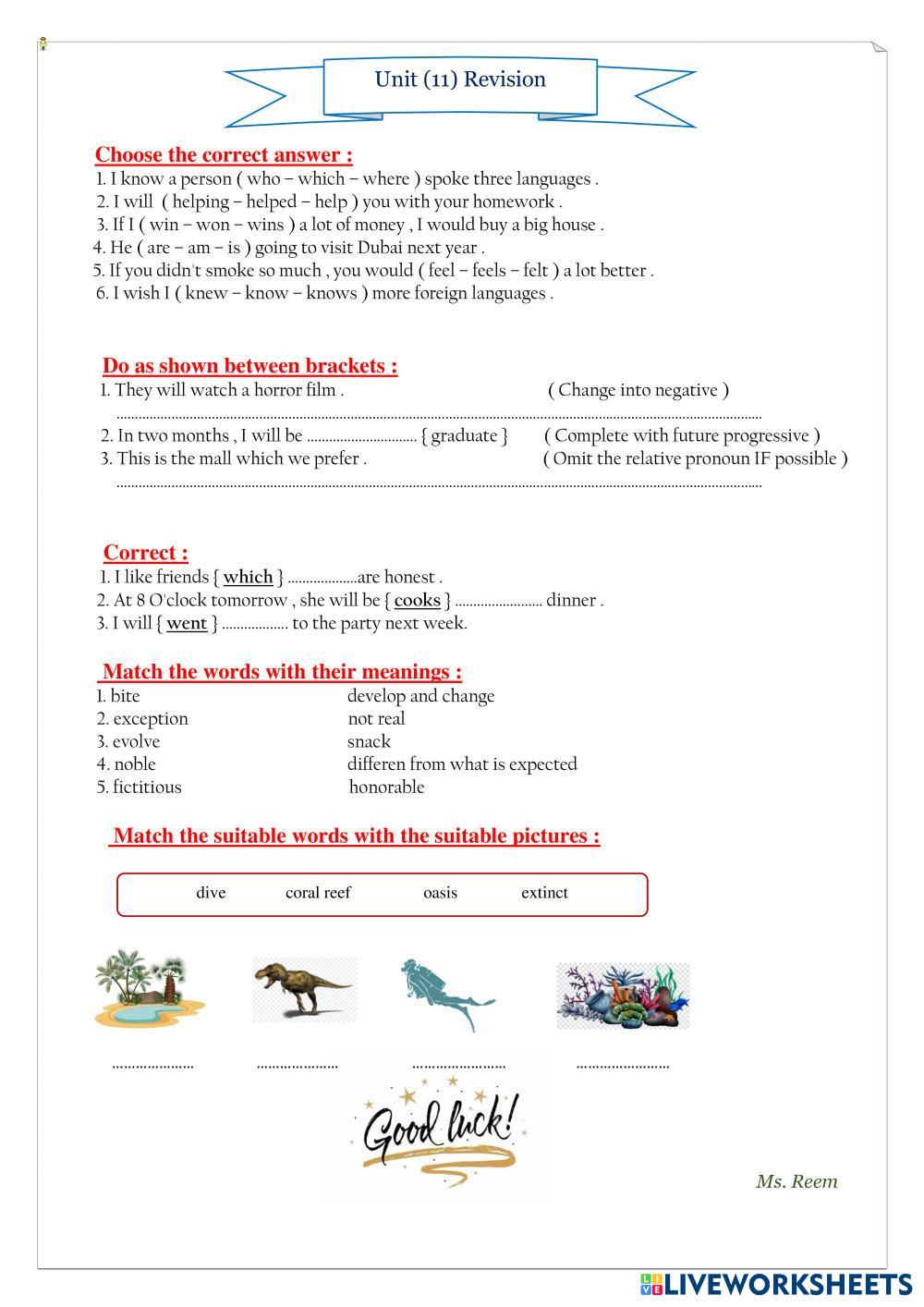 Mega goal 3 Unit 11 Revision | Live Worksheets