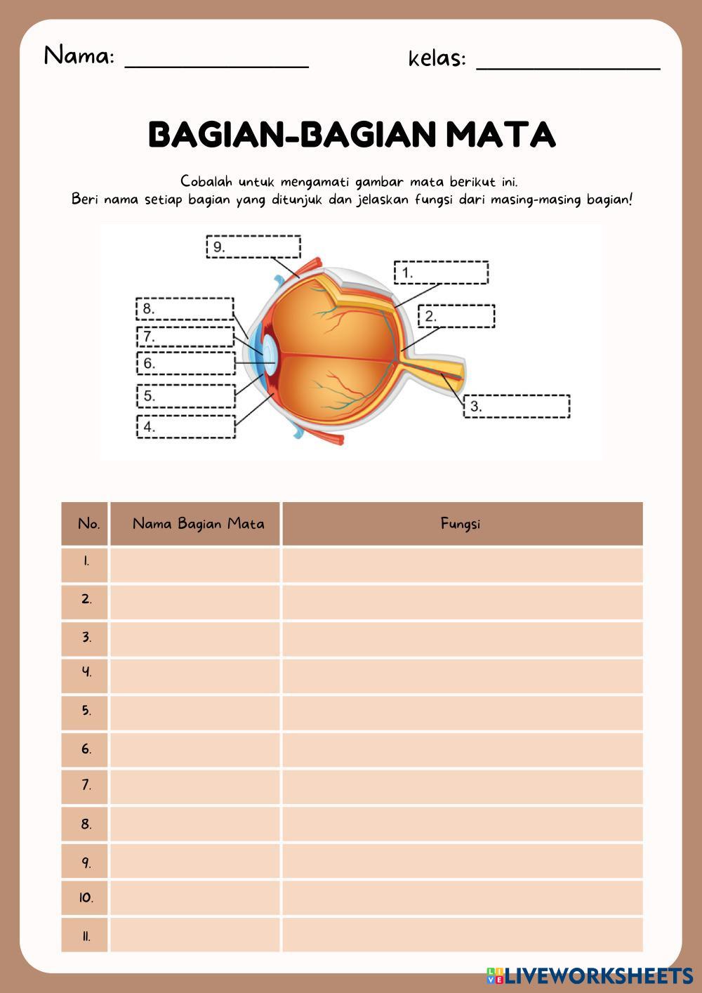7694669 | E LKPD Melihat Karena Cahaya | Farica Dwi