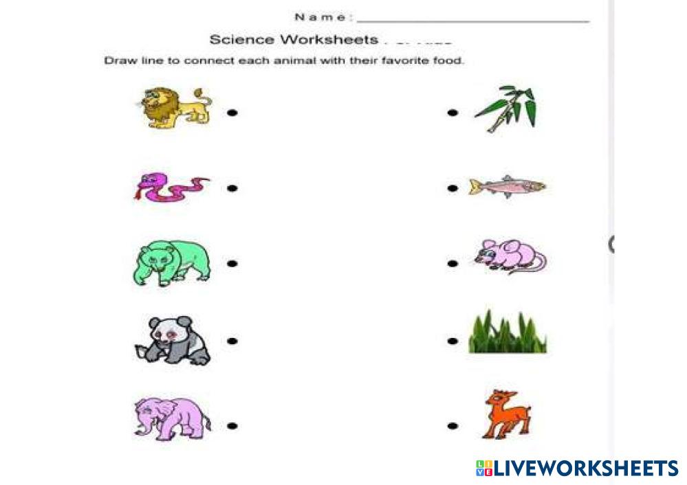 animals 11 | Live Worksheets