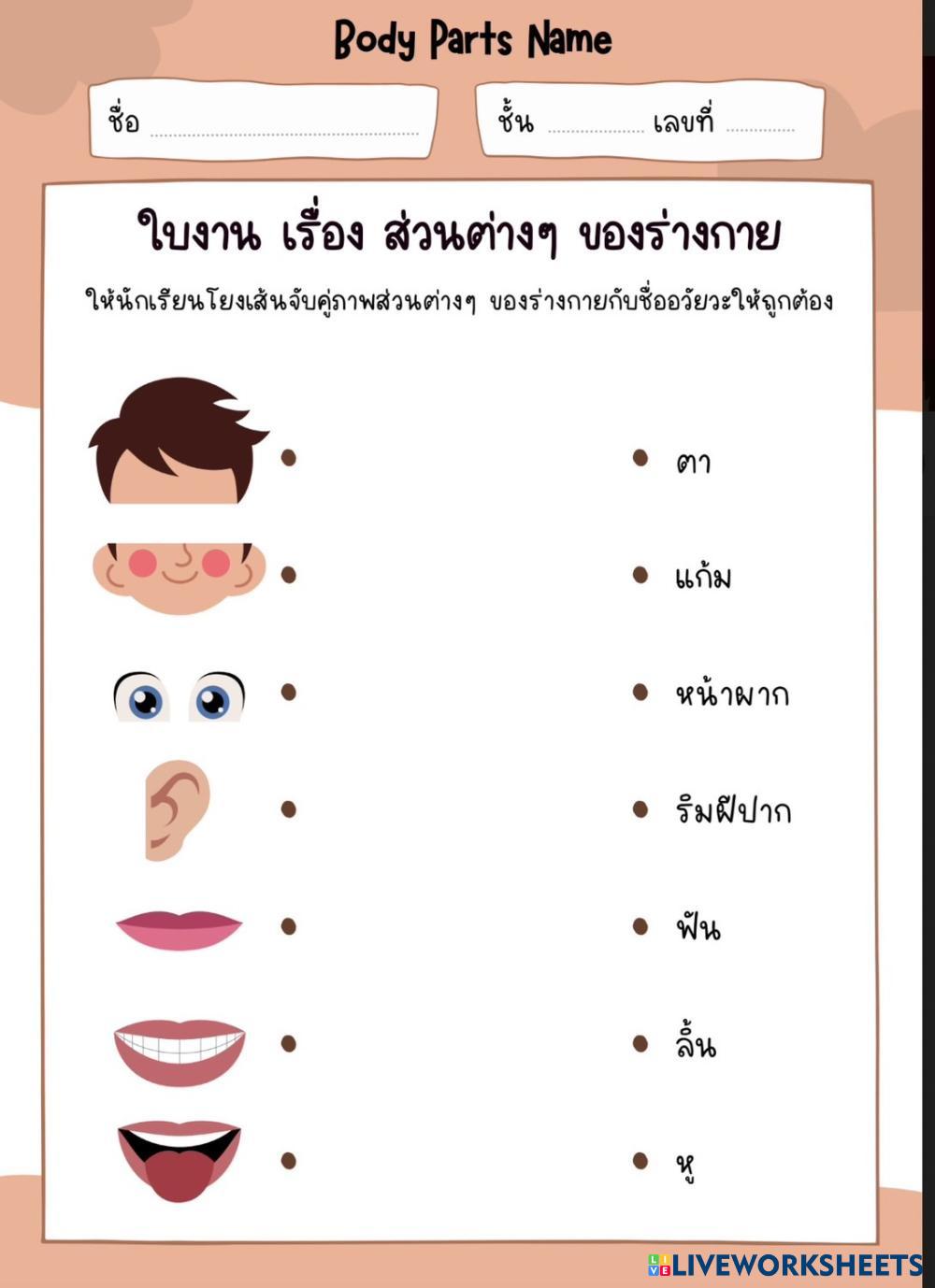 body | Live Worksheets
