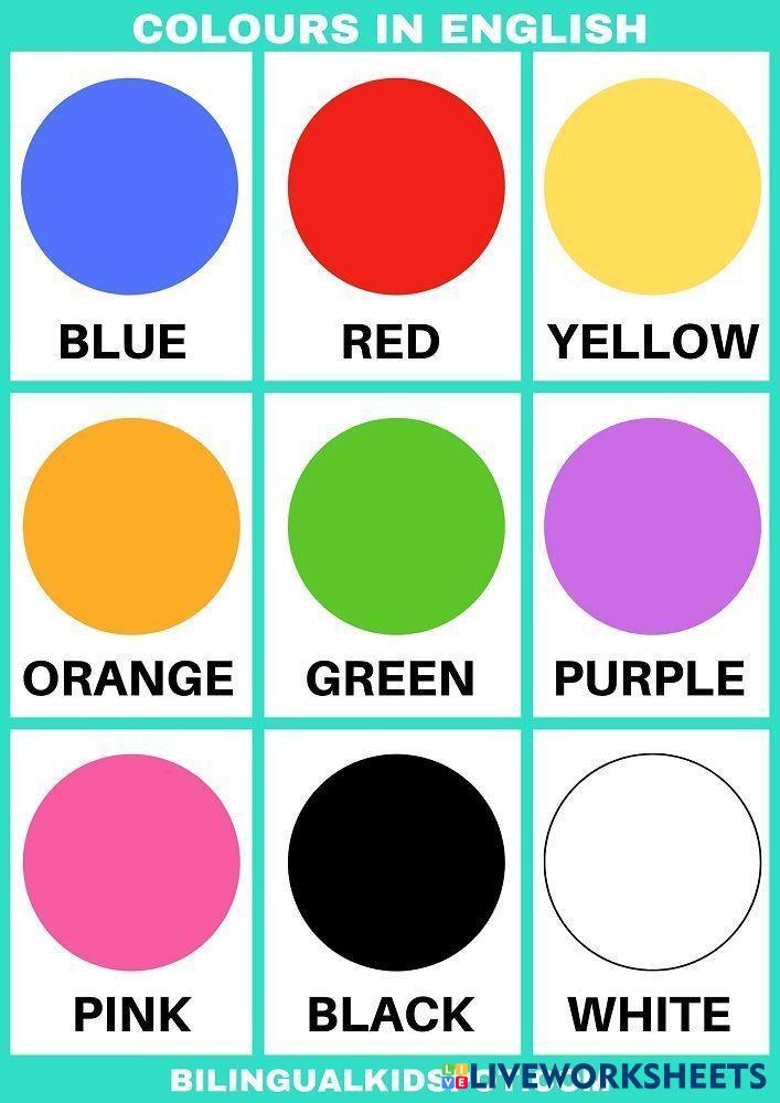 knowing color | Live Worksheets