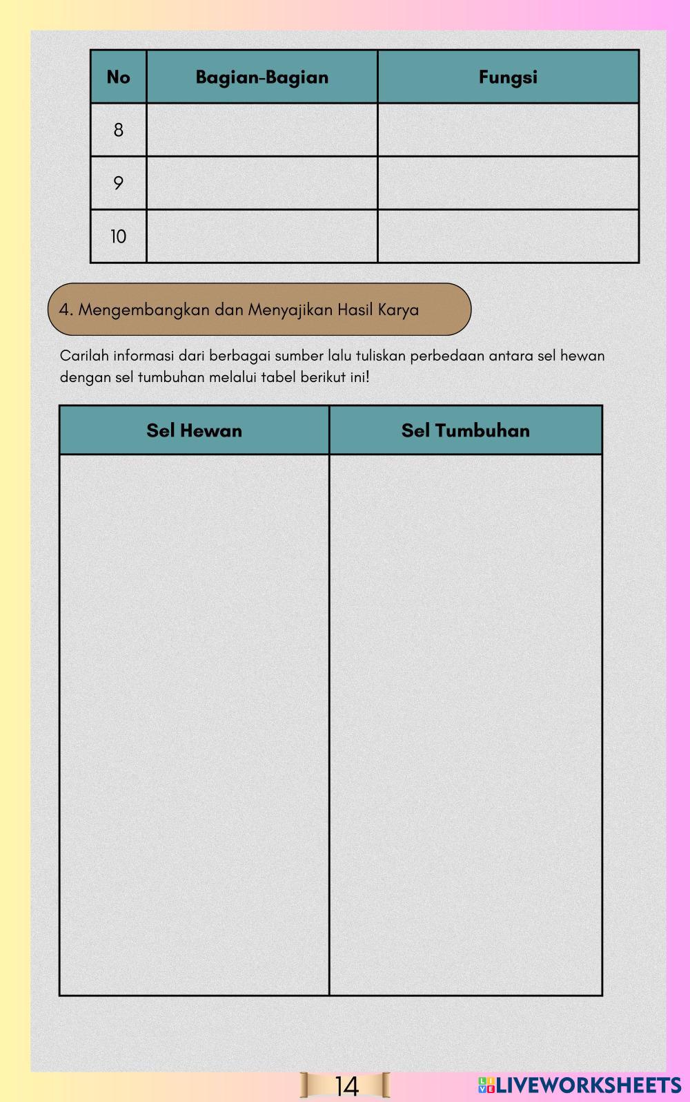Worksheet 2 | Live Worksheets