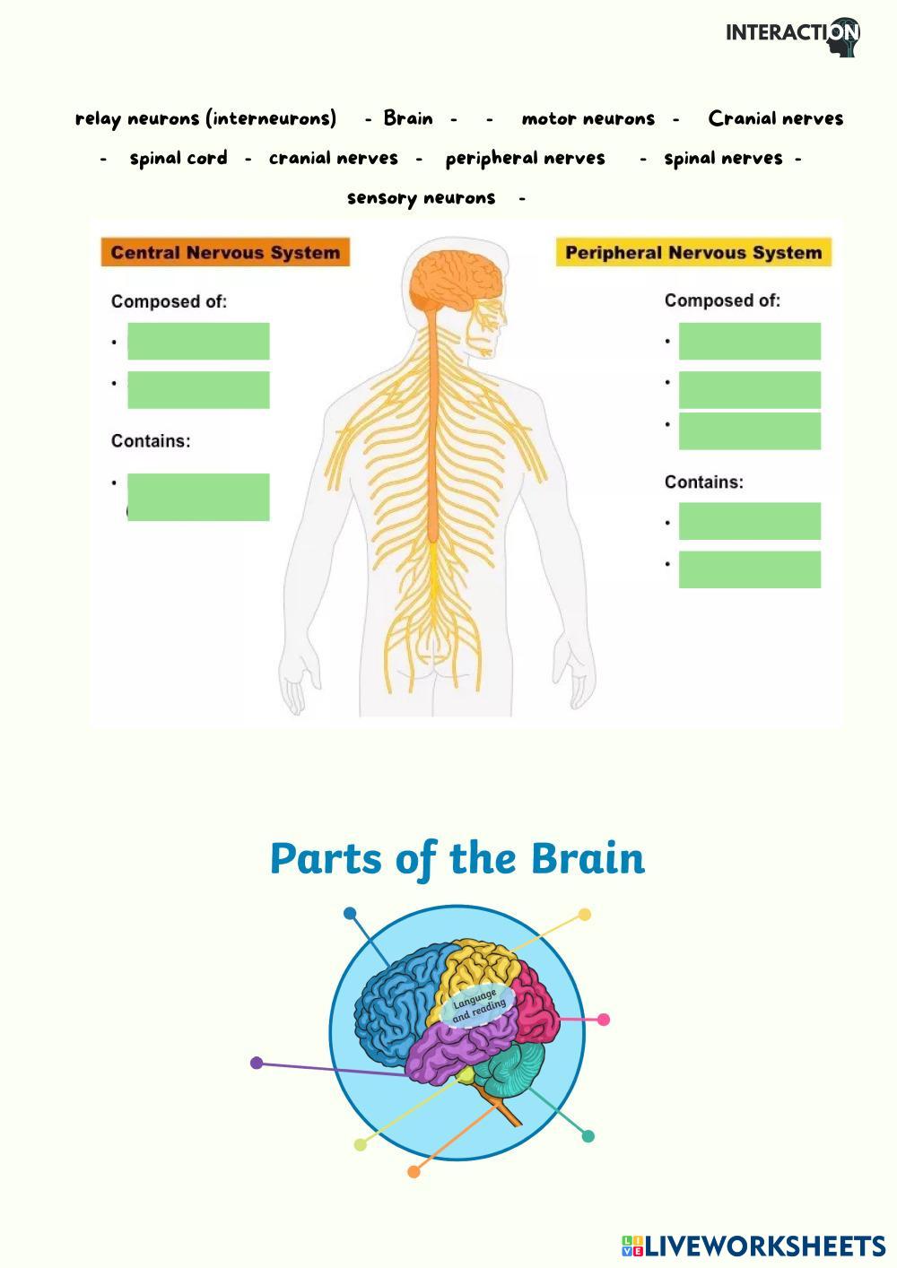 INTERACTION REV… | Free Interactive Worksheets | 7722935