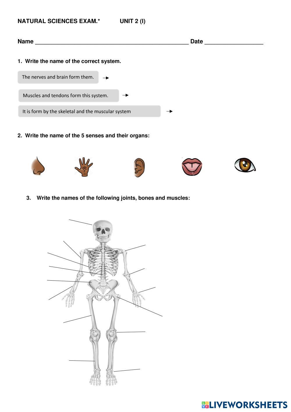 Interaction | Free Interactive Worksheets | 7723602
