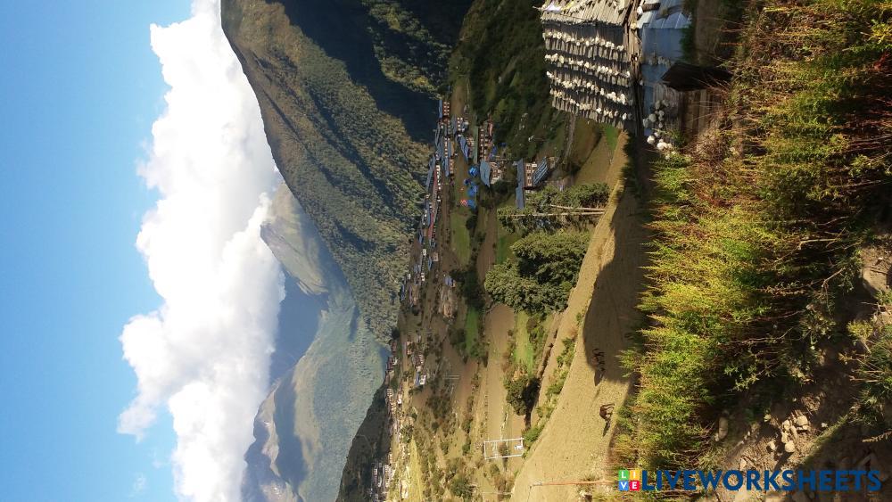 Search engines … | Free Interactive Worksheets | 7730205