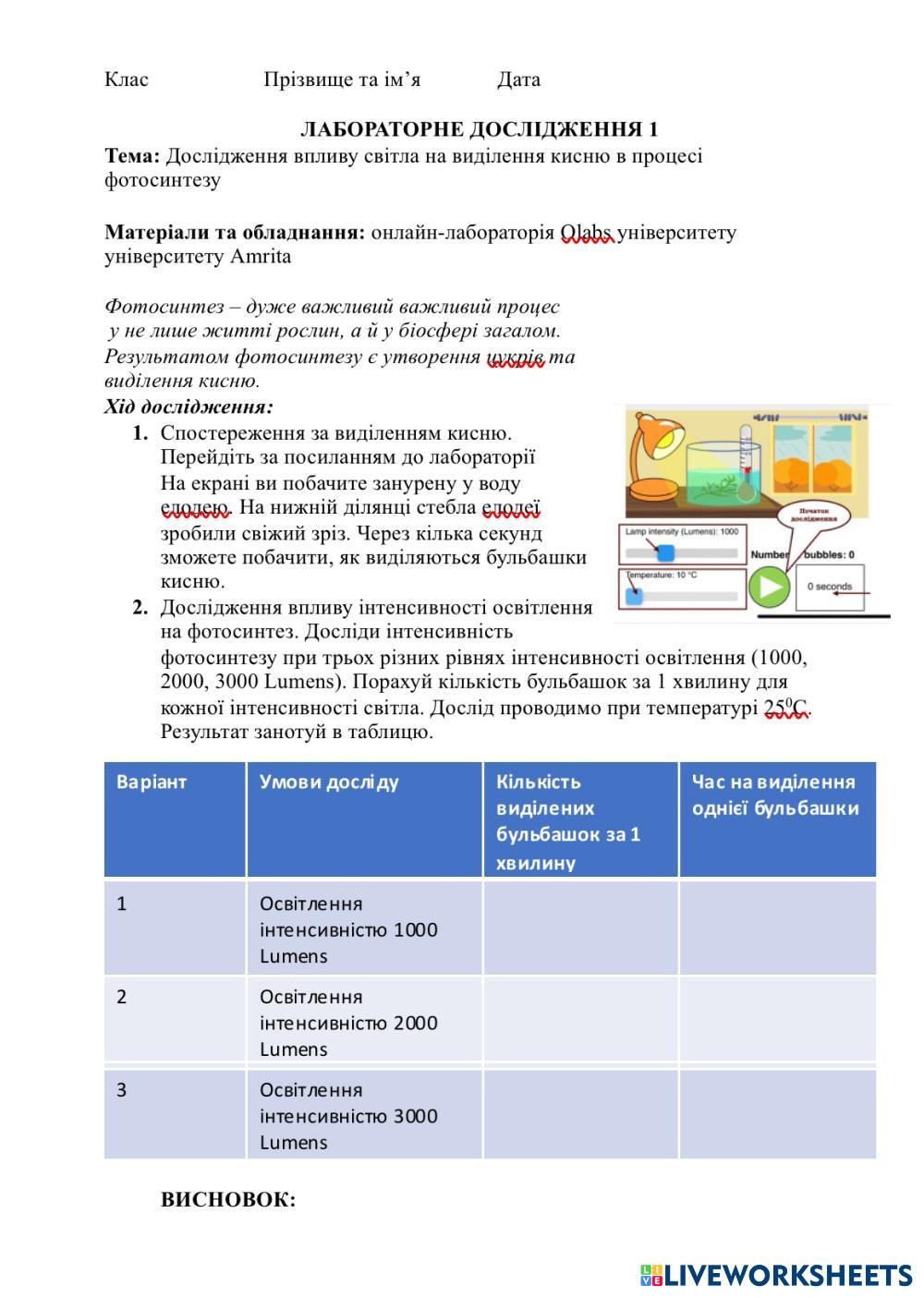 Дослідження фотосинтезу 7736683 | Tetiana Kostenko | Live