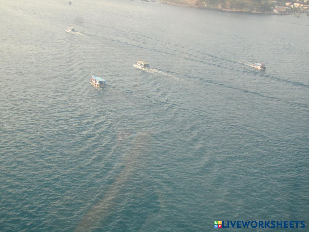 My favorite hob… | Free Interactive Worksheets | 7742953