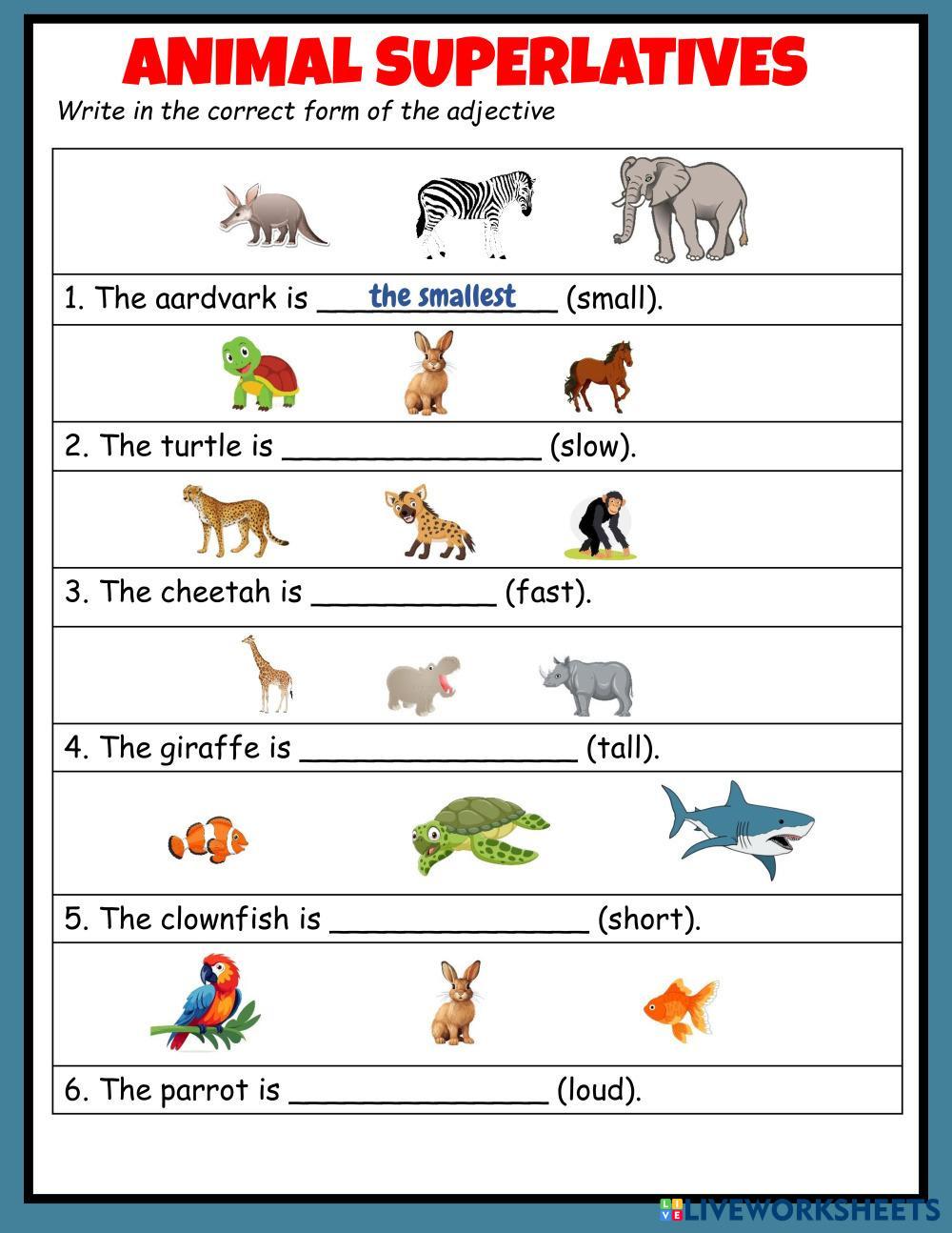 Superlatives An… | Free Interactive Worksheets | 7749481