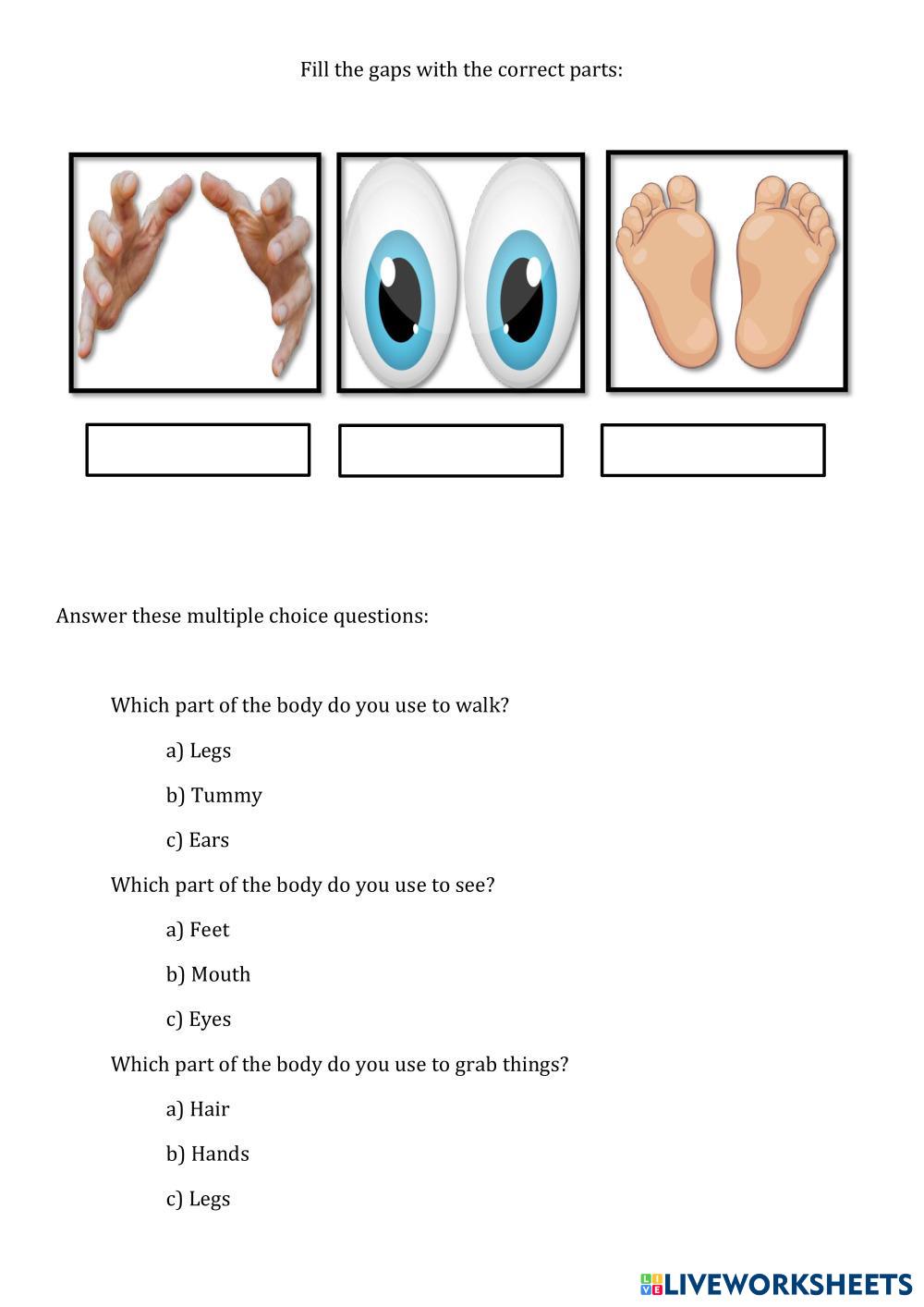 WorkSheet N°1 Lucas Aguilar 2950 | Lucas Aguilar | Live