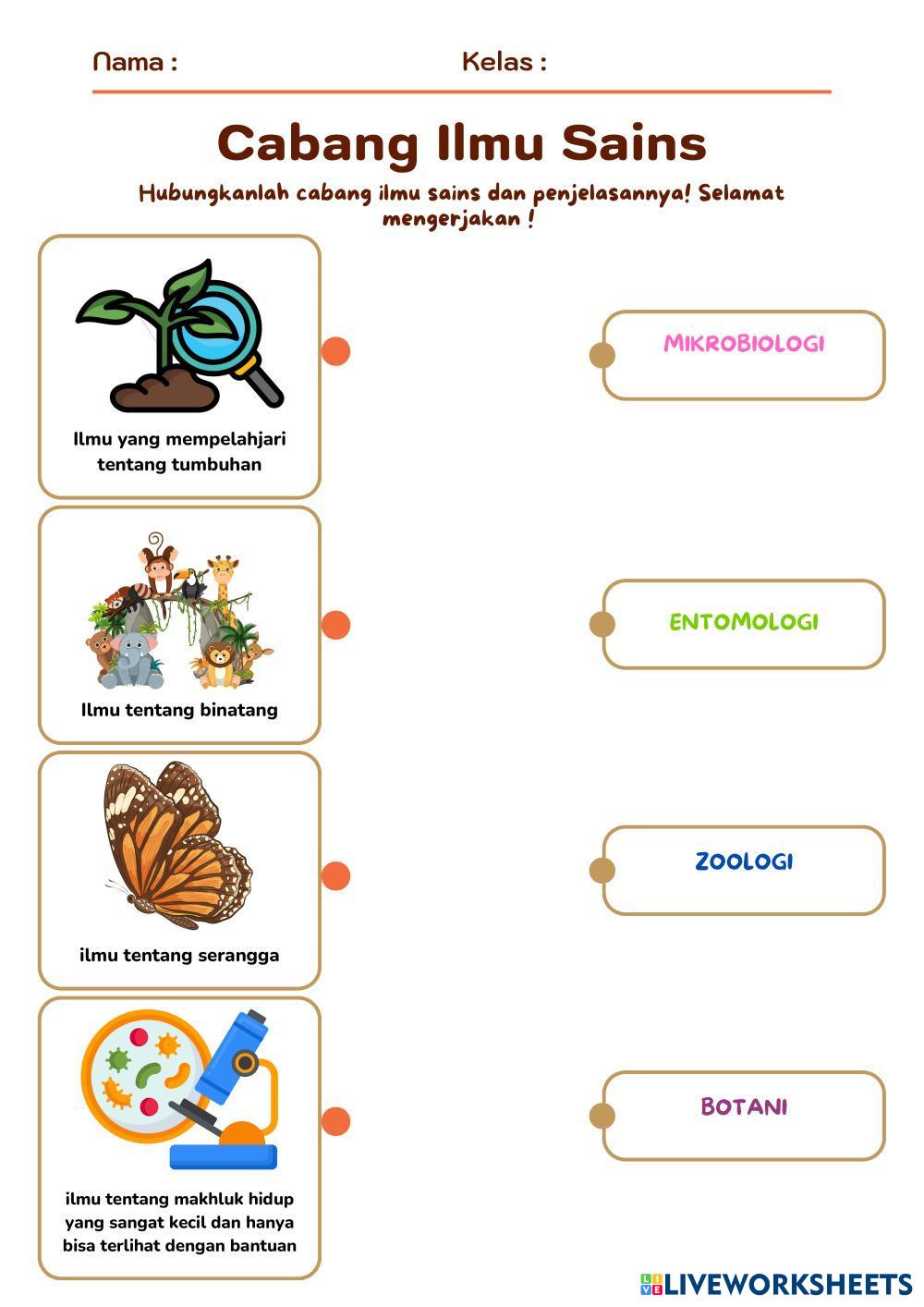 Cabang Ilmu Sains | Hanis Pra | Live Worksheets