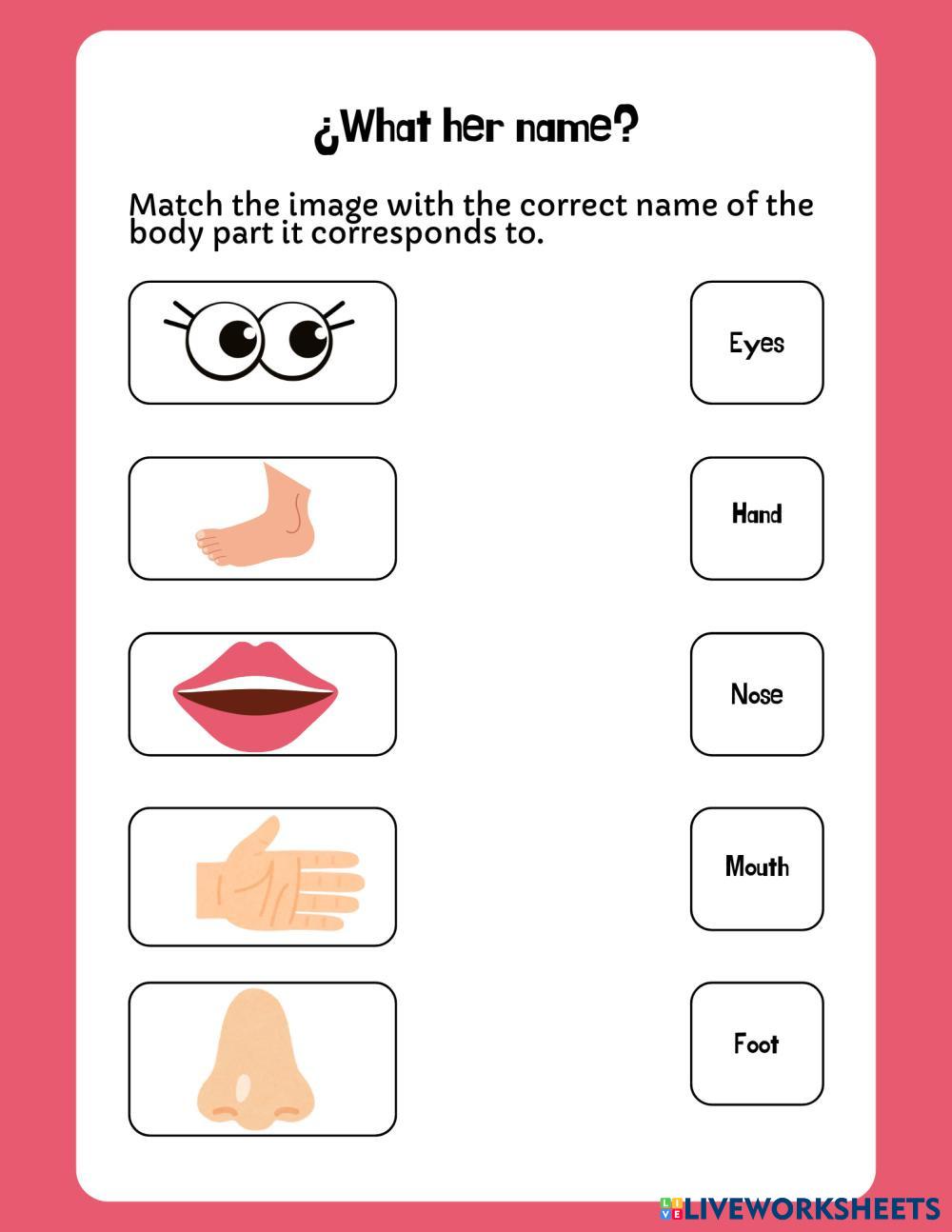 Body parts | Live Worksheets