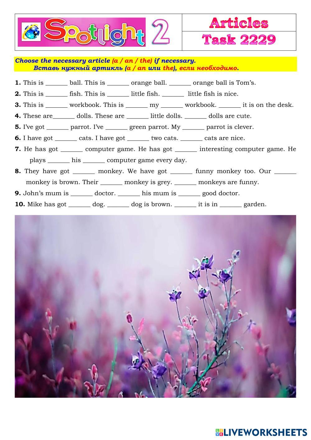 Spotlight 2 Tas… | Free Interactive Worksheets | 7768911