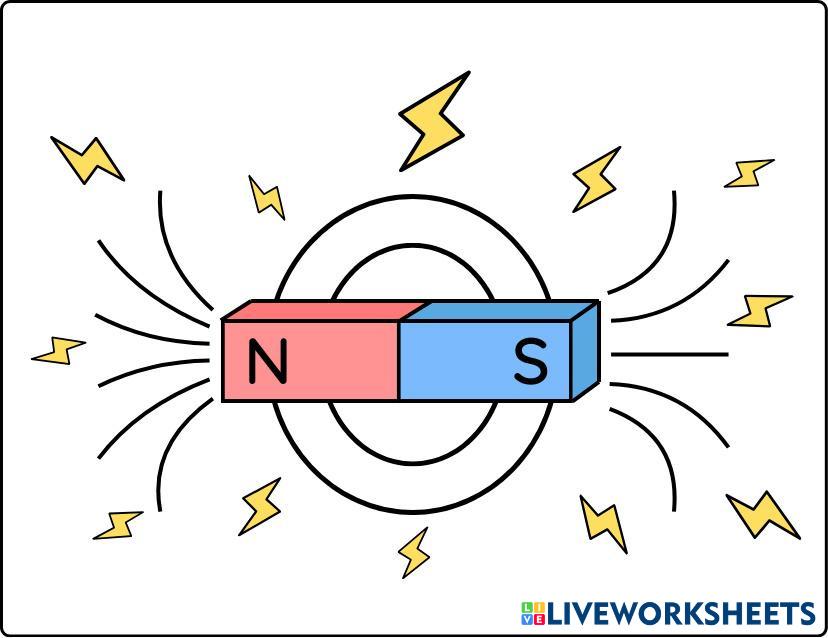 Magnet | Free Interactive Worksheets | 7773108