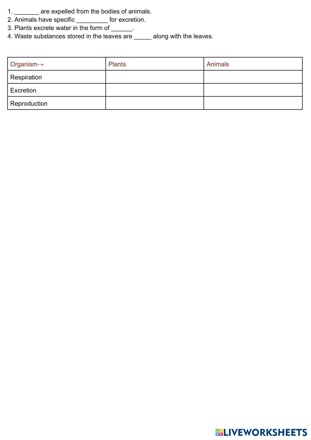 excretion, resp… | Free Interactive Worksheets | 7781591