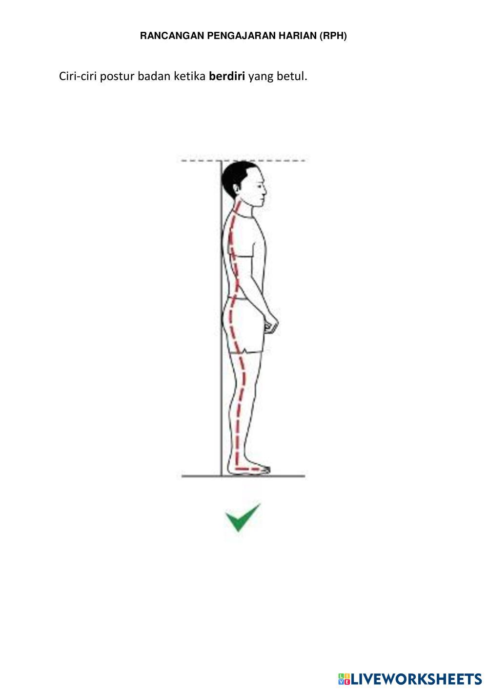 Posture badan y… | Free Interactive Worksheets | 7796394