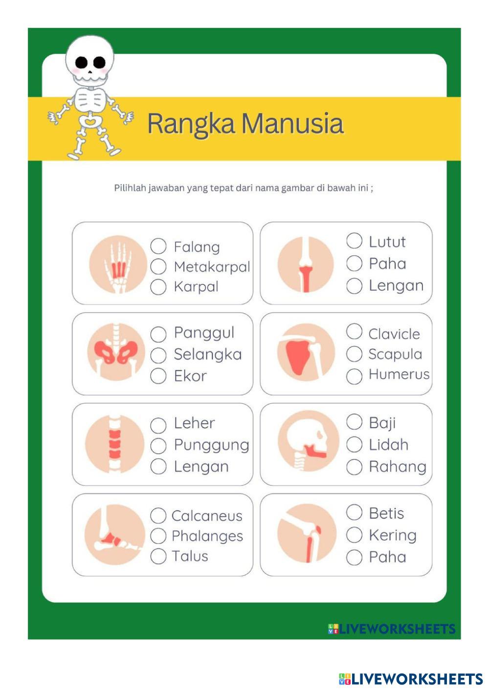 LKPD IPAS KELAS… | Free Interactive Worksheets | 7825904