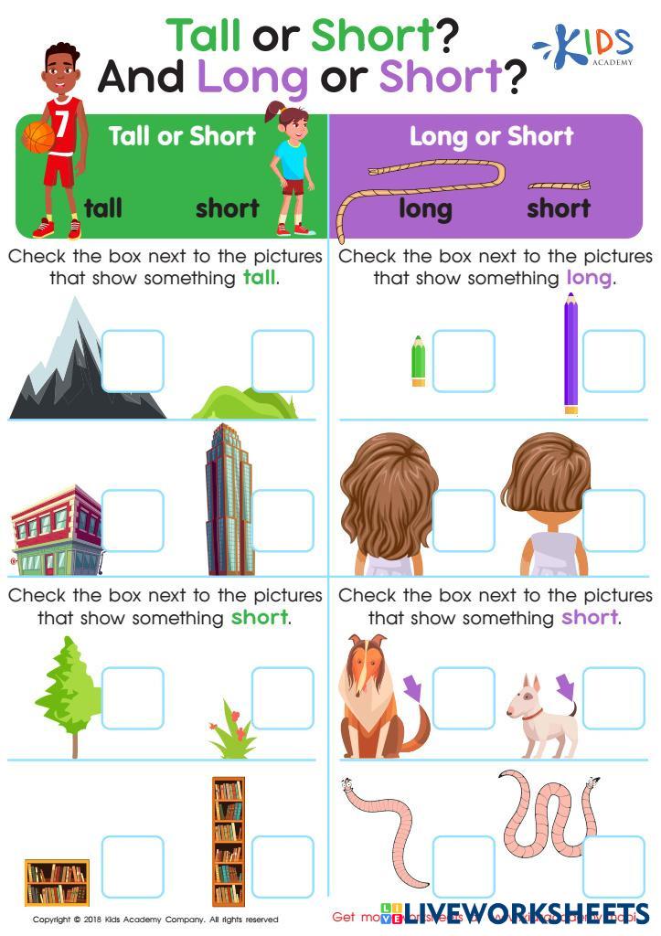 Tall or Short, Long or Short | Ma. Rafaela C. Verga