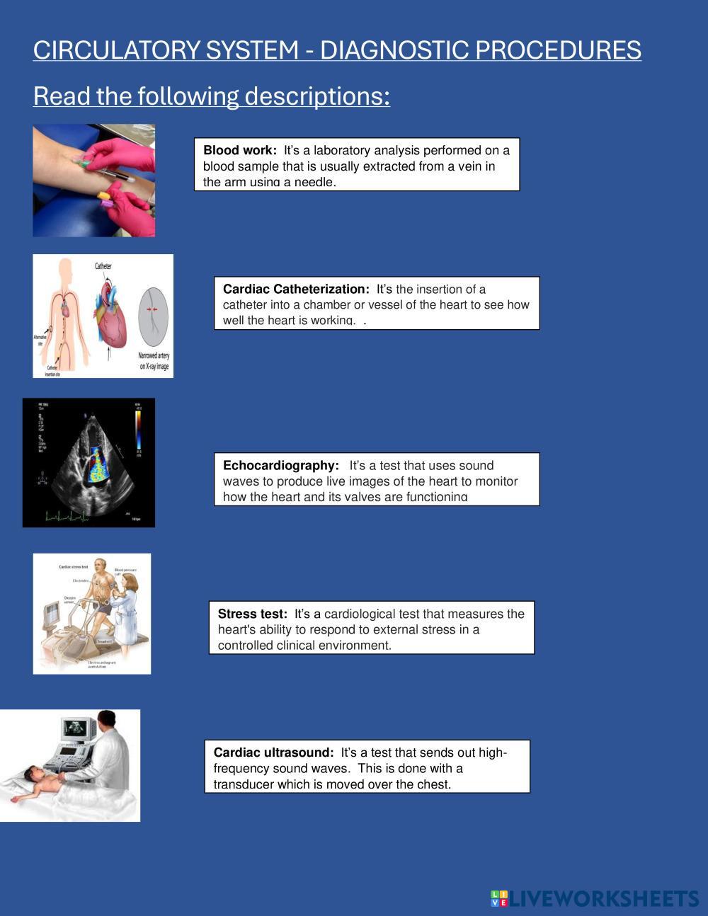 N3 diagnoses ci… | Free Interactive Worksheets | 7828783