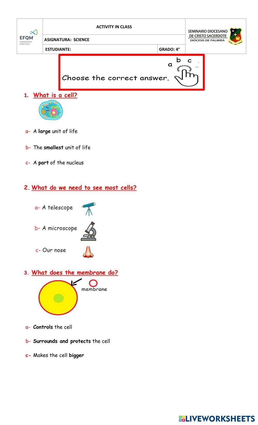 CELL | Free Interactive Worksheets | 7831024