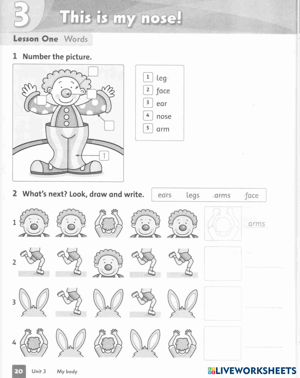 Unit 3: This is my nose _Lesson 1: Words 7835888