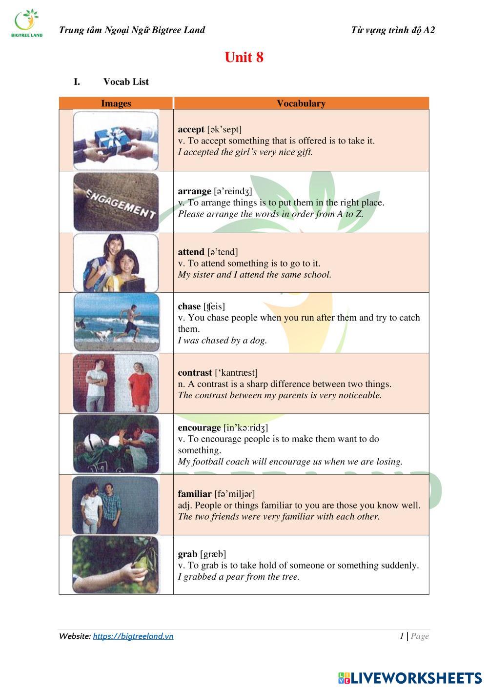 7811715 | ÔN TẬP TỪ VỰNG TRÌNH ĐỘ A2 - UNIT 8 | Bigtree