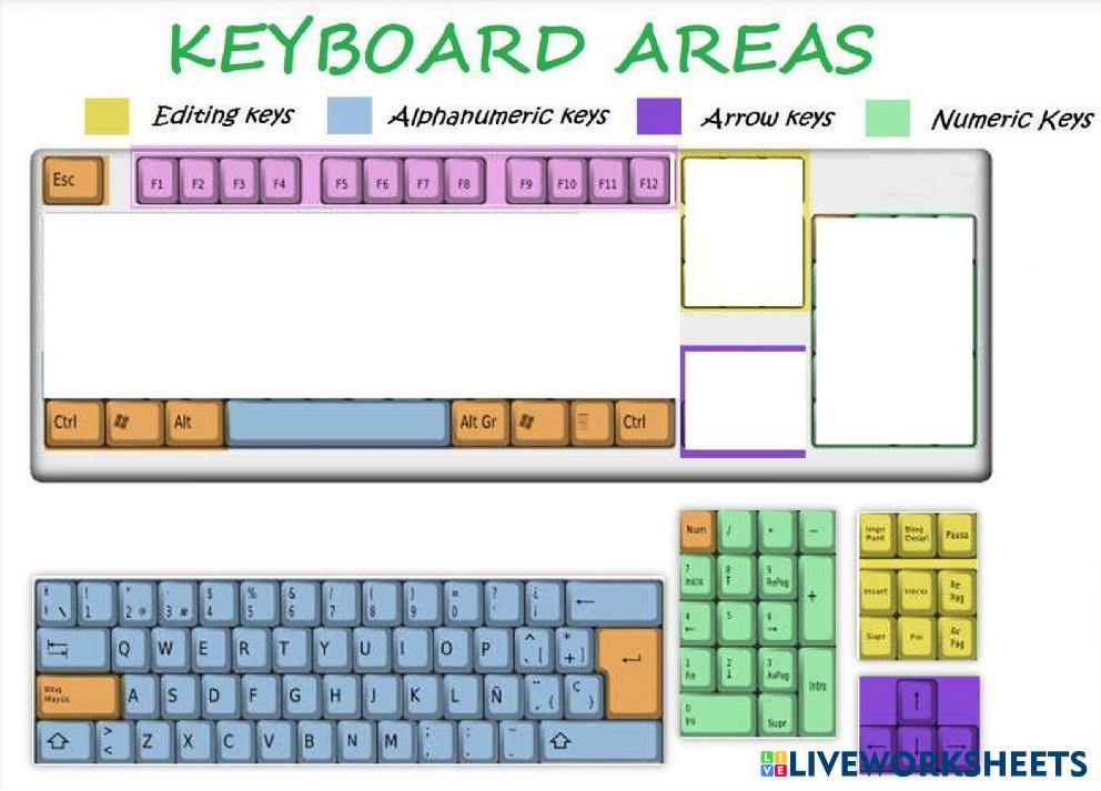 keyboard | Free Interactive Worksheets | 7845507