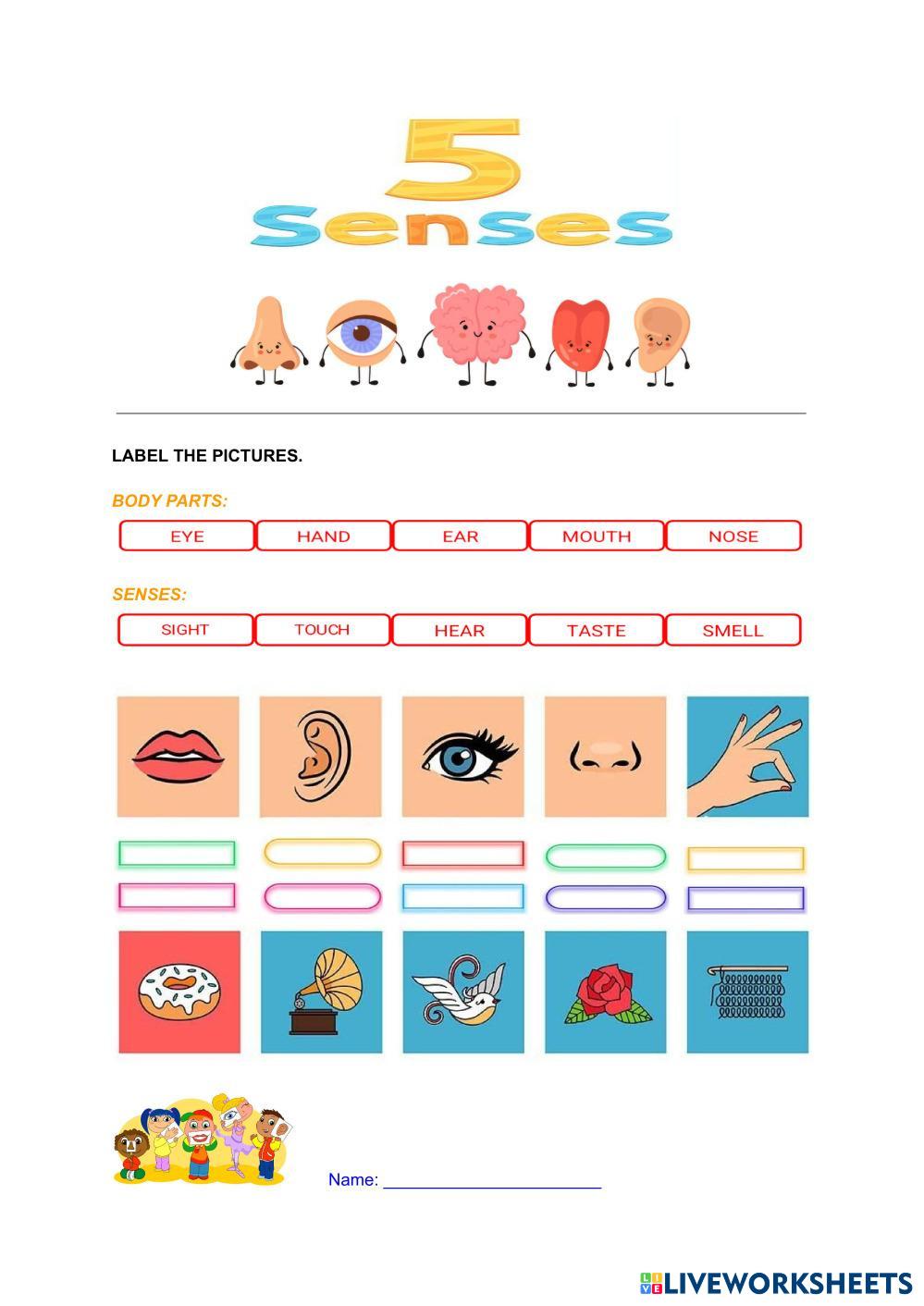 7848180 | 5 Senses | Melisa Julieta Castillo