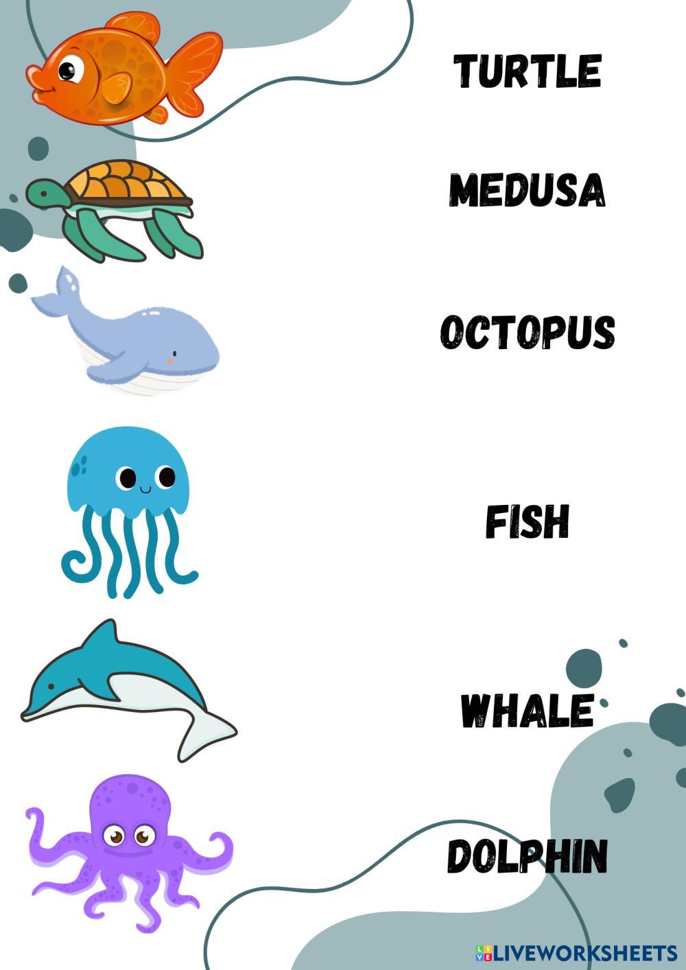 Marine animals | Free Interactive Worksheets | 7859046