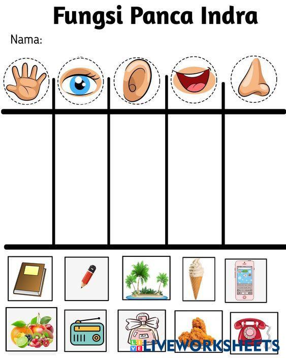 FUNGSI PANCA IN… | Free Interactive Worksheets | 7865197