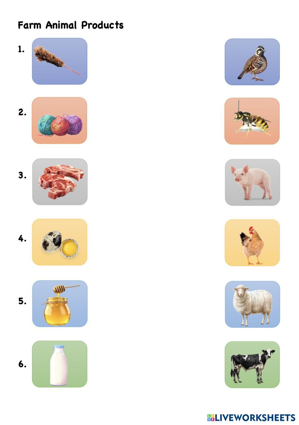 8000685 | Food from Farm Animals | Stella Chai