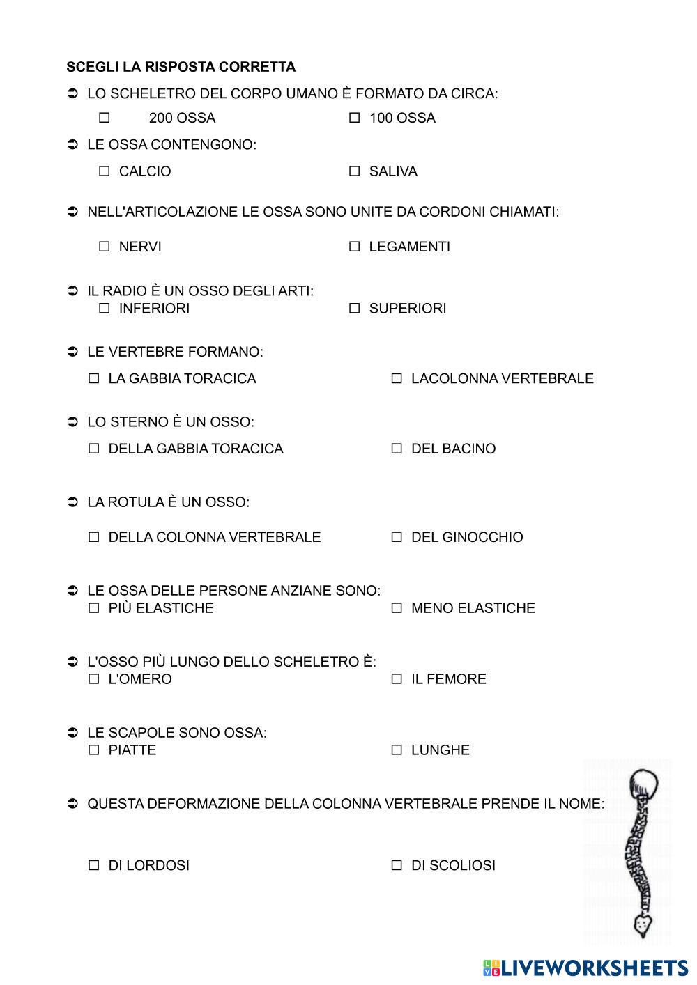 SCIENZE | Free Interactive Worksheets | 8008079
