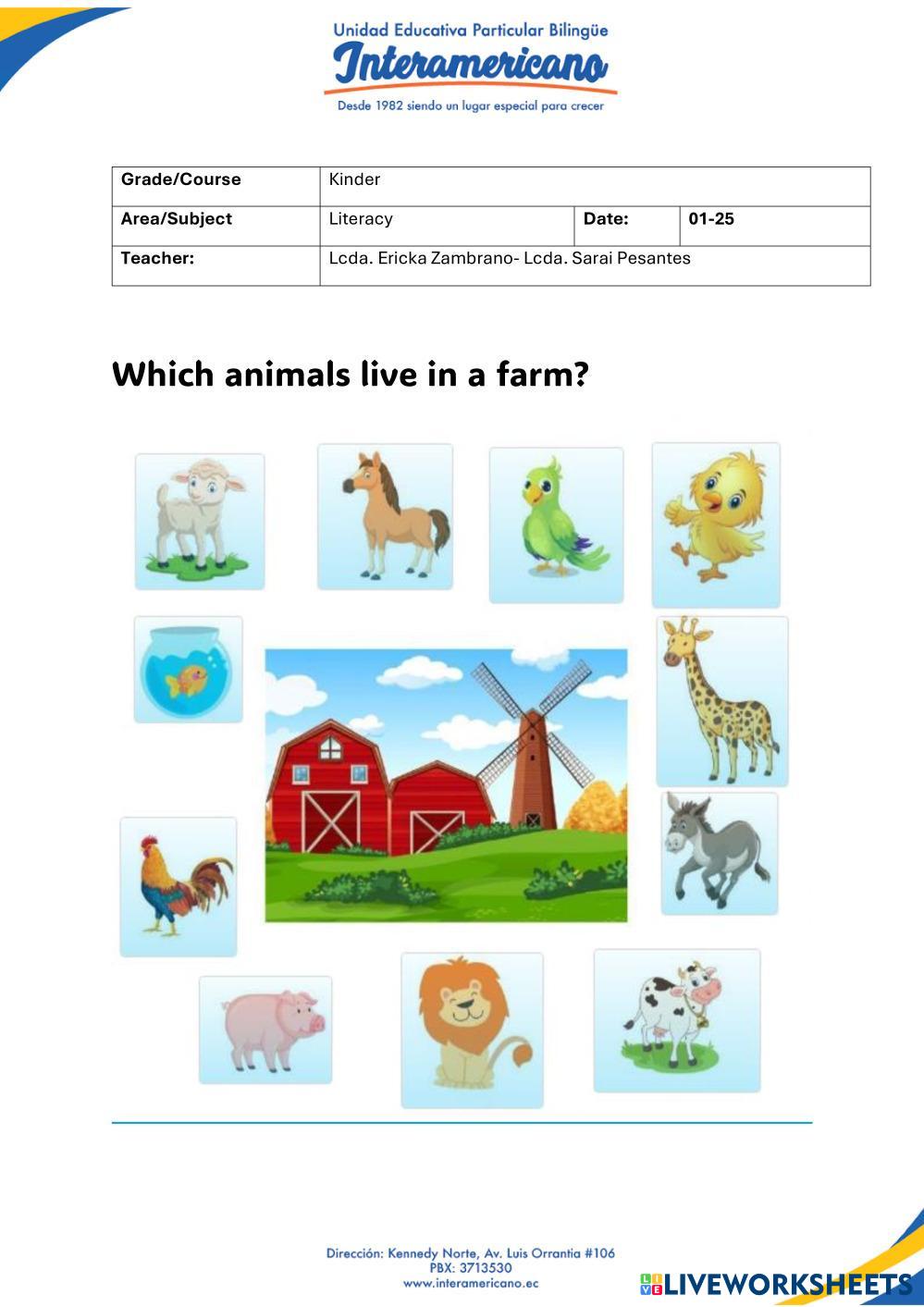 LIVEWORKSHEET K… | Free Interactive Worksheets | 8010570