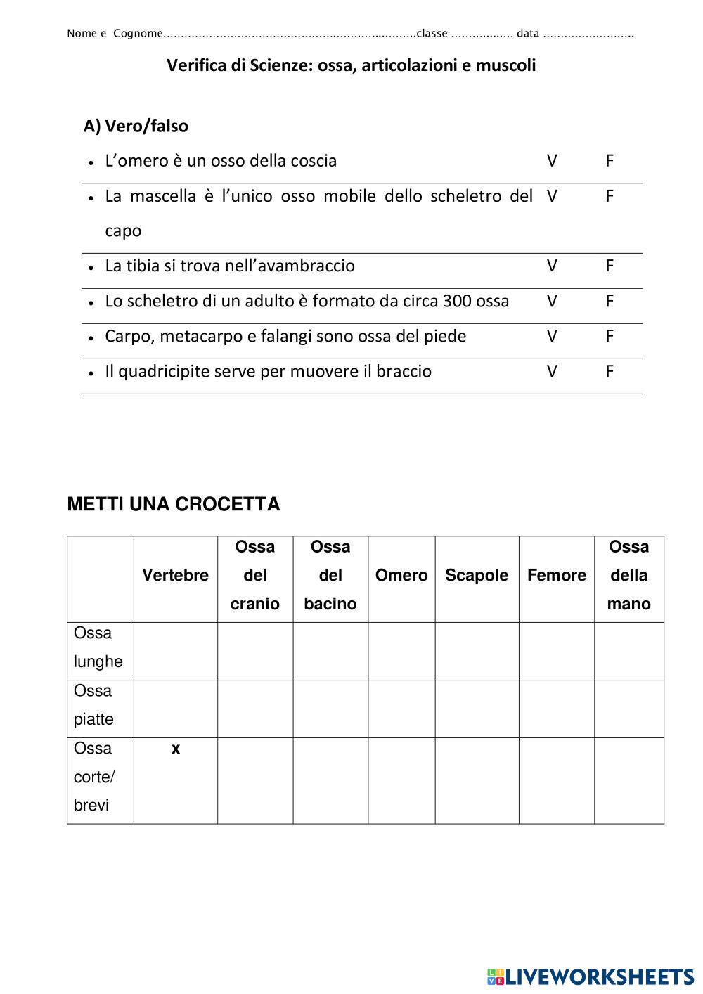8012760 | Scienze: Apparato scheletrico | claudia ferrari