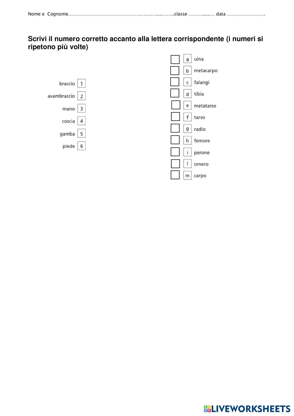 Scienze: Appara… | Free Interactive Worksheets | 8012760