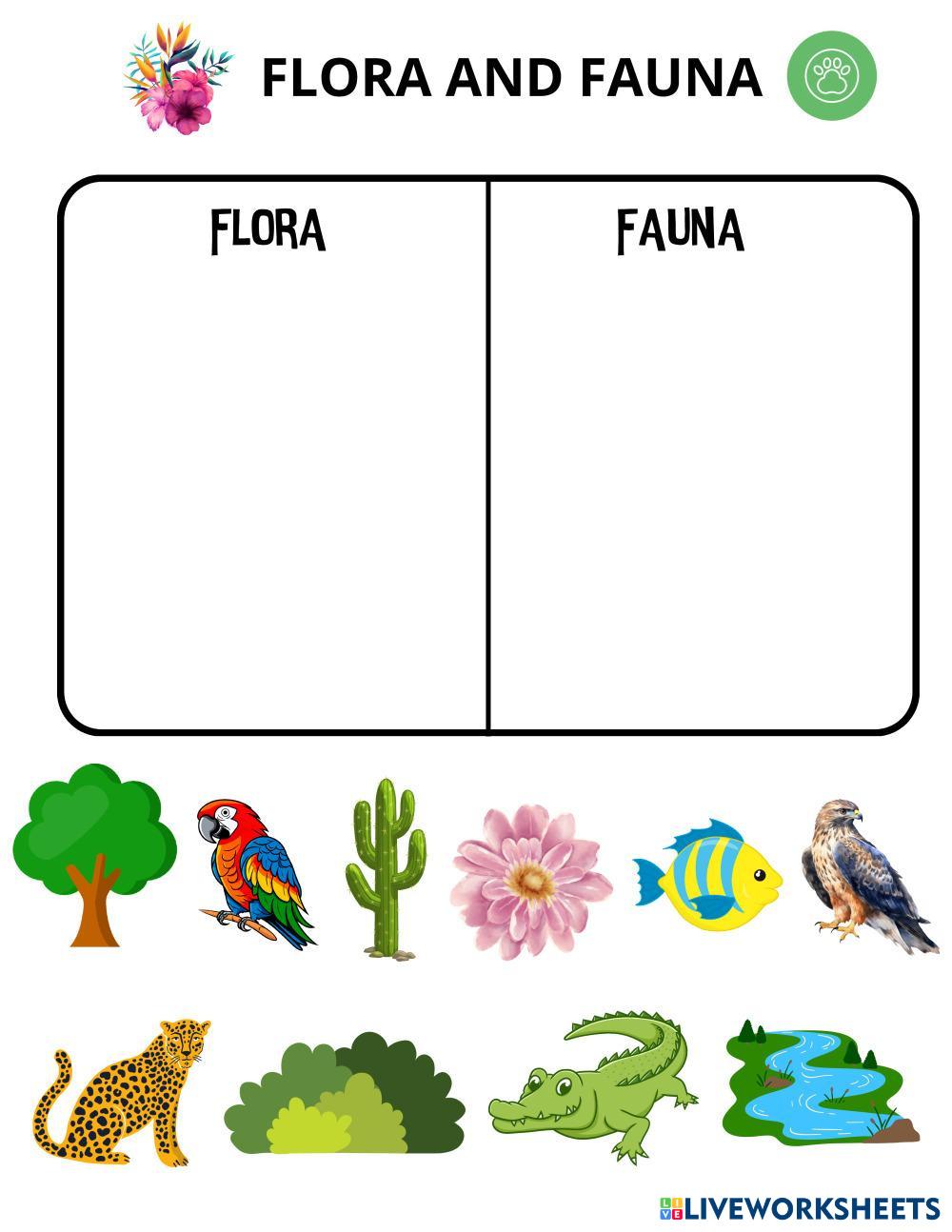 8015588 | FLORA AND FAUNA | Patt27 | LiveWorksheets