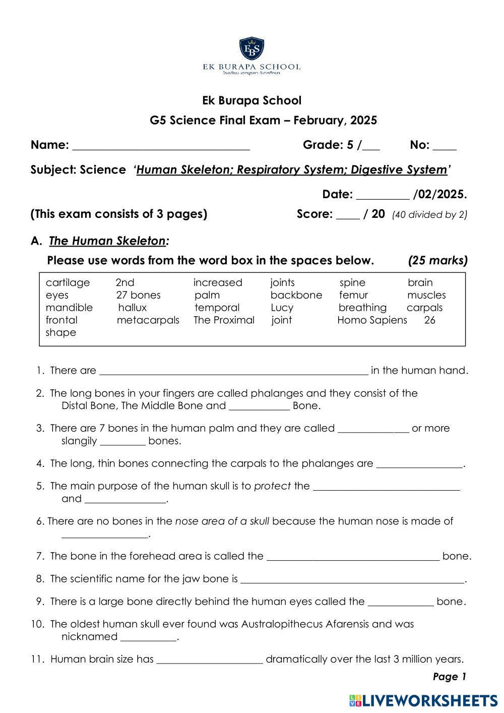 8022474 | G5 Science Exam 2025 | William G. Murdoch